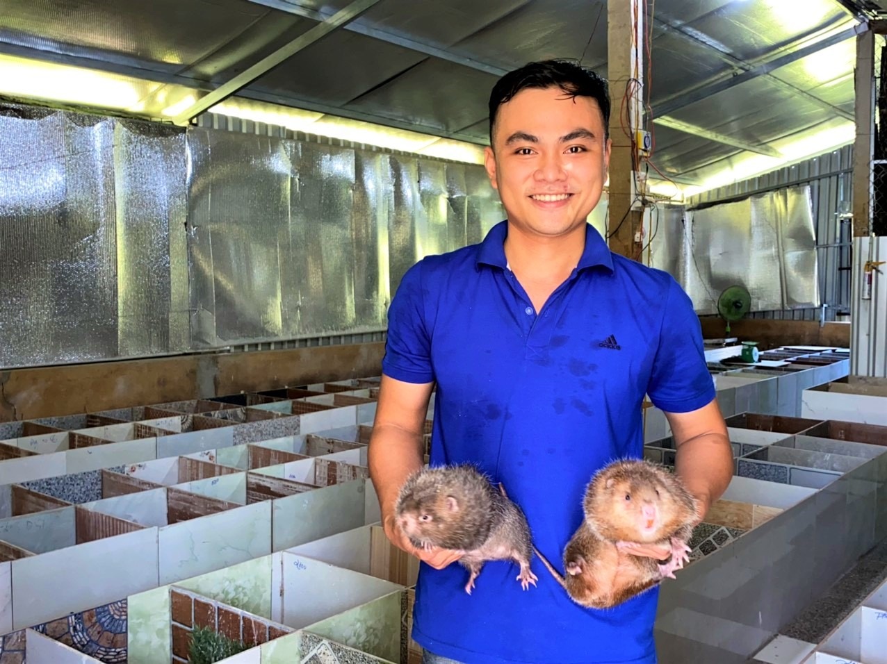 Con Dúi là con gì? Đặc điểm, cách nuôi và giá bán